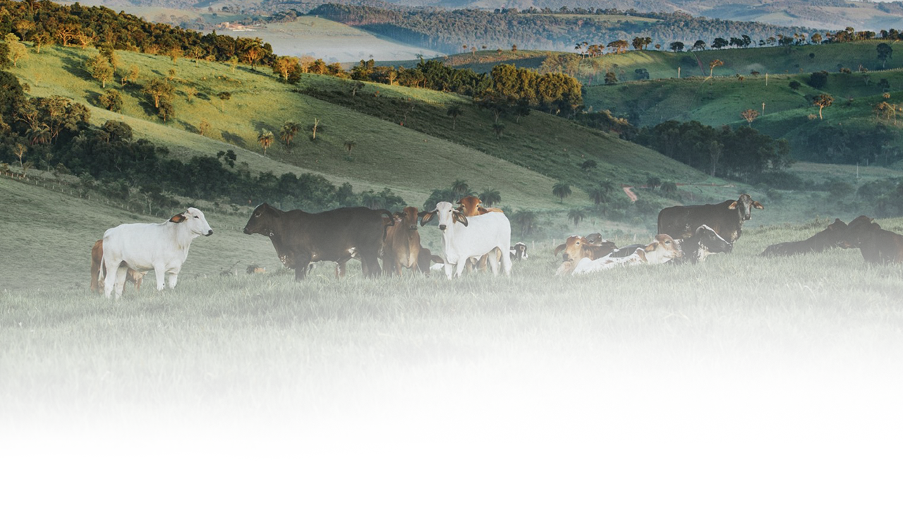 Sukhashraya Temple Trust